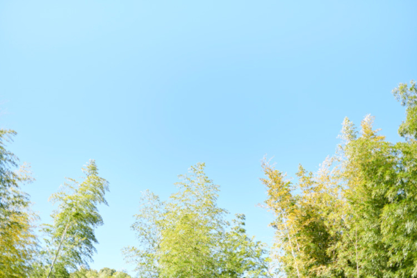 素敵な暮らしを訪れて5 | KINOTTO - キノットのオフィシャルウェブサイトです。